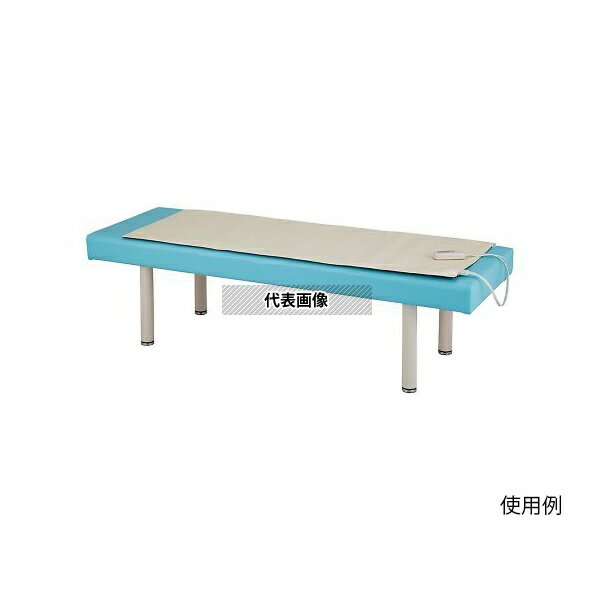 【アズワン AS ONE】看護、介護用品 ベット周辺 ベット ●使用用途に合わせたホットマットが選択可能です。 ●じんわりと温めます。 商品の仕様 ●幅×長さ×厚み(mm):600×1550×10 ●滑り止めレザー:なし ●材質:PVCカバ...
