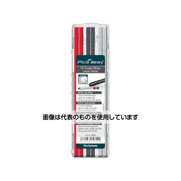 【アズワン AS ONE】実験室設備 工具類 工具、道具 ●6060用の替芯です。 ●開閉しやすいケースで芯の交換が簡単です。 ●2×5の平型芯で直線が引きやすいです。 ●木材(ウェット・ドライ)、鉄、樹脂、コンクリート、タイルなどへの線引...