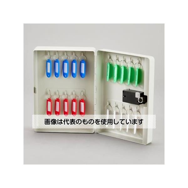 【アズワン AS ONE】実験室設備 工具類 工具、道具 ●色分類できるキーホルダーが便利です。 商品の仕様 ●キーハンガー数：20個 ●サイズ(mm)：185×90×250(H) ●重量：1.5kg ●材質：スチール ●鍵2本、ネームタグ...