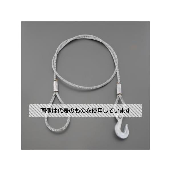 【アズワン AS ONE】実験室設備 工具類 工具、道具 商品の仕様 ●型番：HW2 ●ワイヤー径：9mm ●全長(m)：2 ●フック口開き：19mm ●材質：鉄 ●EA988XB-10用 【※ご注意ください】商品は代表の画像を使用しています。