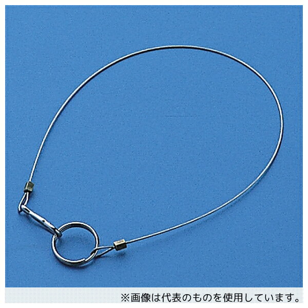 【アズワン AS ONE】実験室設備 事務用品・OAデスク 事務用保管・整理用品 ●サビに強いステンレス製ワイヤの両端にリングとフックが付いています。 ●バルブ表示札などの設置に簡単・便利です。 商品の仕様 ●材質:ステンレス ●入数:10...