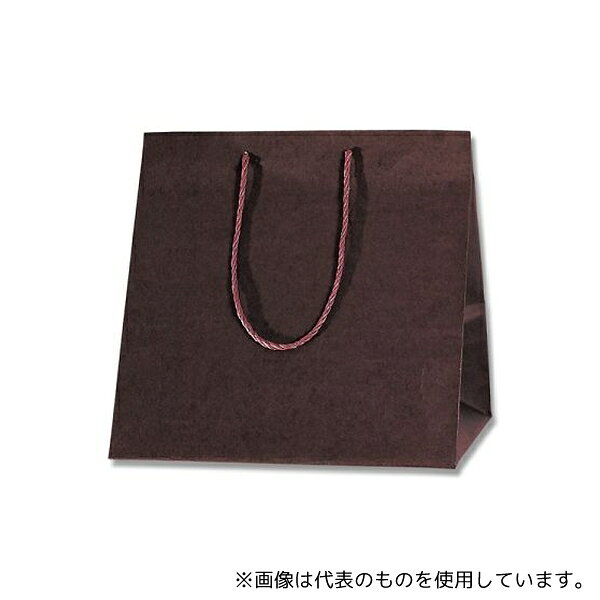 【アズワン AS ONE】実験室設備 事務用品・OAデスク 事務用品 ●口ボール・底ボール入 手紐:紙紐3本撚り 商品の仕様 ●サイズ:350×280×350mm ●色・柄:焦茶 ●材質:未晒120g/m2 ●入り数:10枚/外袋 ●JAN...