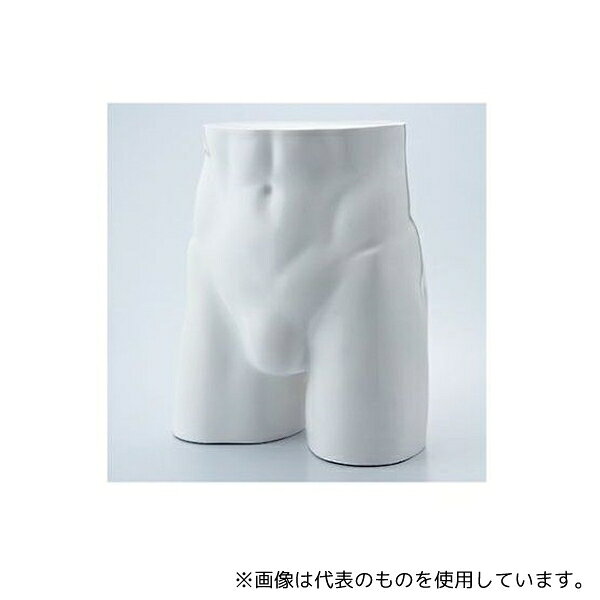 【アズワン AS ONE】実験室設備 事務用品・OAデスク 事務用品 ●おへその上までの形状なので、リアルなディスプレーが可能です。 ●トランクス、ブリーフともにご利用いただけます。 ●清潔感のある白。 商品の仕様 ●素材:ABS樹脂製 白...