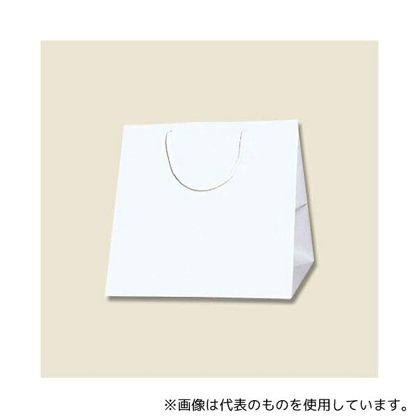 【アズワン AS ONE】実験室設備 事務用品・OAデスク 事務用品 ●表面PP貼り 口ボール・底ボール付 手紐:ポリエステル 商品の仕様 ●商品サイズ:幅300×マチ280×高300mm ●材質:コート紙160g ●入数:1パック(10枚...