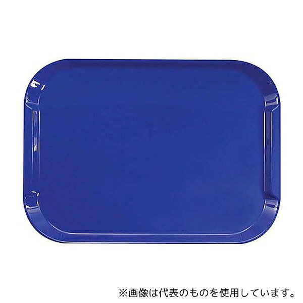 【アズワン AS ONE】実験室設備 事務用品・OAデスク 事務用品 商品の仕様 ●色:ブルー ●幅×奥行×高さ(mm):390×280×18 ●底内寸幅×奥行(mm):330×240 ●重量(kg):0.33 ●耐熱ABS製 ●耐熱温度:...