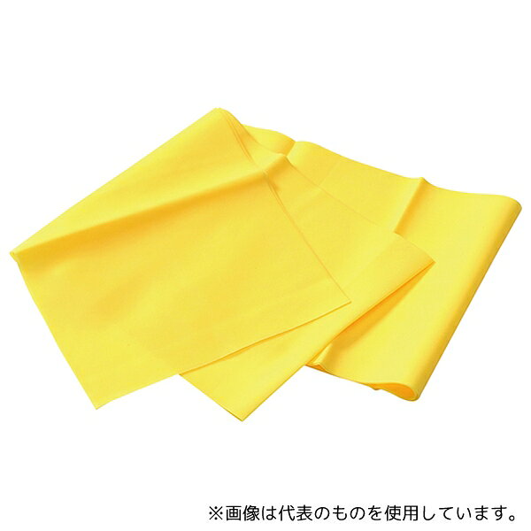 【アズワン AS ONE】看護、介護用品 介護・リハビリ リハビリ用品 ●ストレッチやトレーニングなど色々なエクササイズに使える! ●トレーニング方法の説明書付。 ●筋力トレーニング・リハビり・体幹トレーニング・ストレッチに! 商品の仕様 ...