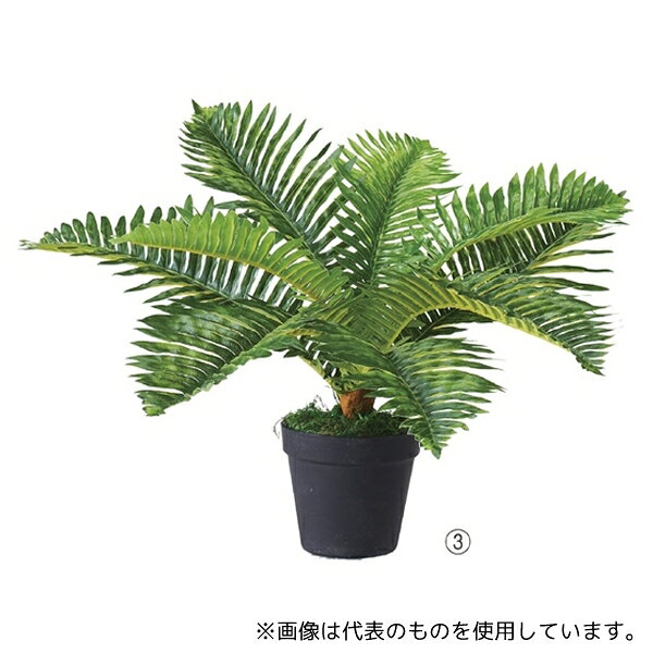 【アズワン AS ONE】 ●オフィス、店舗のアクセントにぴったりです。 商品の仕様 ●素材:ポリエステル ●サイズ:W62×D62×H36cm 、鉢:直径12×H11cm ●重量:1.5kg ●室内仕様 ●お届け時には葉が広がっておりませ...