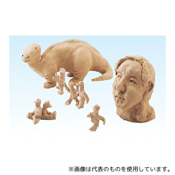 【アズワン AS ONE】汎用科学機器 汎用科学機器 一般 その他汎用科学機器 ●彫塑用に特に細かい粒子で作っています。 ●※芯材は使えません。 ●比重1.7g/cm3 商品の仕様 ●商品サイズ:185×105×30mm ●セット内容:1ケ...