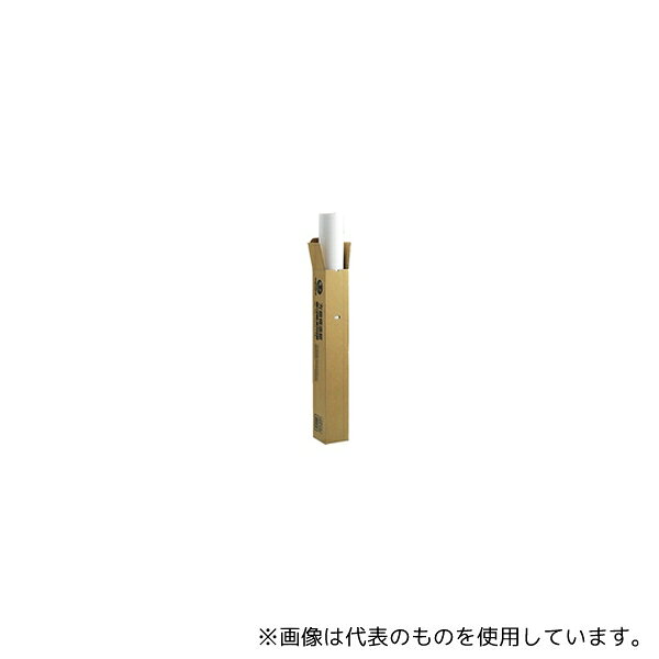 【アズワン AS ONE】実験室設備 事務用品・OAデスク 事務用品 ●ご好評の方眼模造紙50枚巻。 ●方眼のマス目に円の目盛付。 ●片面方眼/片面無地 ●中厚紙 ●箱入 ●※シリーズごとに用紙、色調が異なります。 ●業務用パック ●JOI...