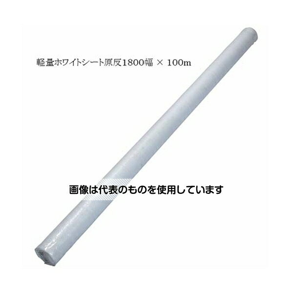 【アズワン AS ONE】物理・物性測定器 物性・物理量測定機器 天秤その他 ●軽量タイプのシートです。 ●養生等に最適です。 商品の仕様 ●材質：ポリエチレン ●入数：1本入 ●JANコード：4932635365901 【※ご注意ください...