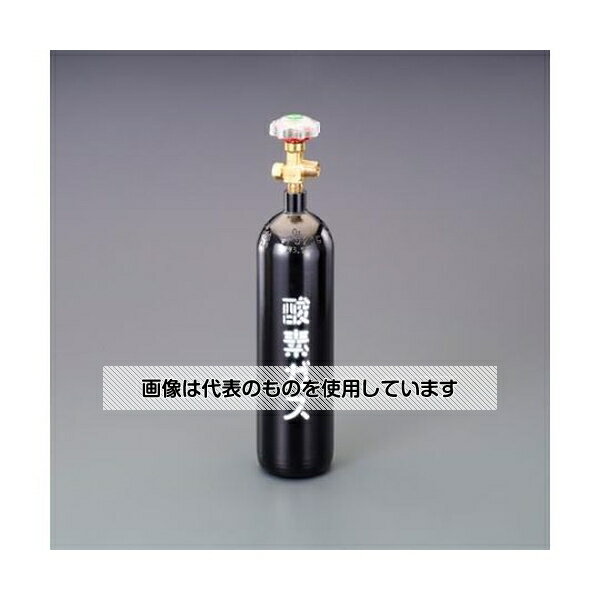 【アズワン AS ONE】 ●※ガスは充填されていません 商品の仕様 ●適合品番：EA300M-0、MB-0 ●容量：2L ●サイズ：φ100×470mm ●重量：3.6kg ●充填圧力：14.7MPa ●検査圧力：24.5MPa 【※ご注...