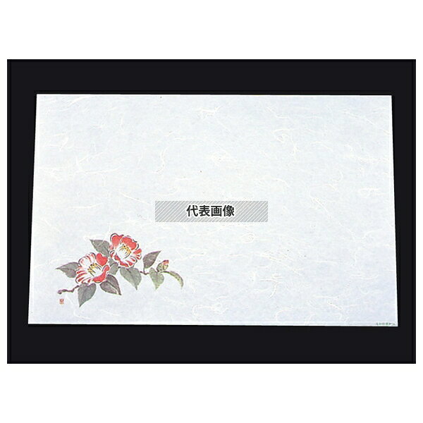 商品の特徴 尺三 懐石マット 抗菌遠赤和紙 (100枚入) WS-2 椿 (12月~2月) ●優れた抗菌効果と遠赤外線放射 ●雑菌(大腸菌・病原性大腸菌O-157)発生を強力に防ぎ、付着した細菌の繁殖を抑え、ゆるやかに滅菌し長時間効果が持続...