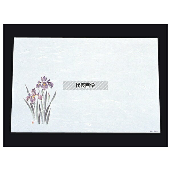 商品の特徴 尺三 懐石マット 抗菌遠赤和紙 (100枚入) WS-11 アヤメ (5月~6月) ●優れた抗菌効果と遠赤外線放射 ●雑菌(大腸菌・病原性大腸菌O-157)発生を強力に防ぎ、付着した細菌の繁殖を抑え、ゆるやかに滅菌し長時間効果が...