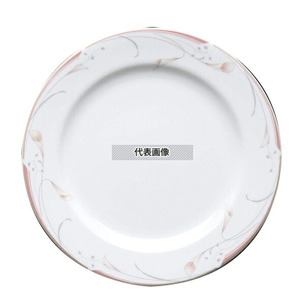 商品の特徴 フラワーピンク 23cm プレート OFM01-209 ●アルミクロンチャイナとは、工業用パーツにも使われる強度の高いアルミナと呼ばれる原料を用い、高温で焼成した独自の技術によって開発された強化磁器です。そのため強度・耐熱性に富...