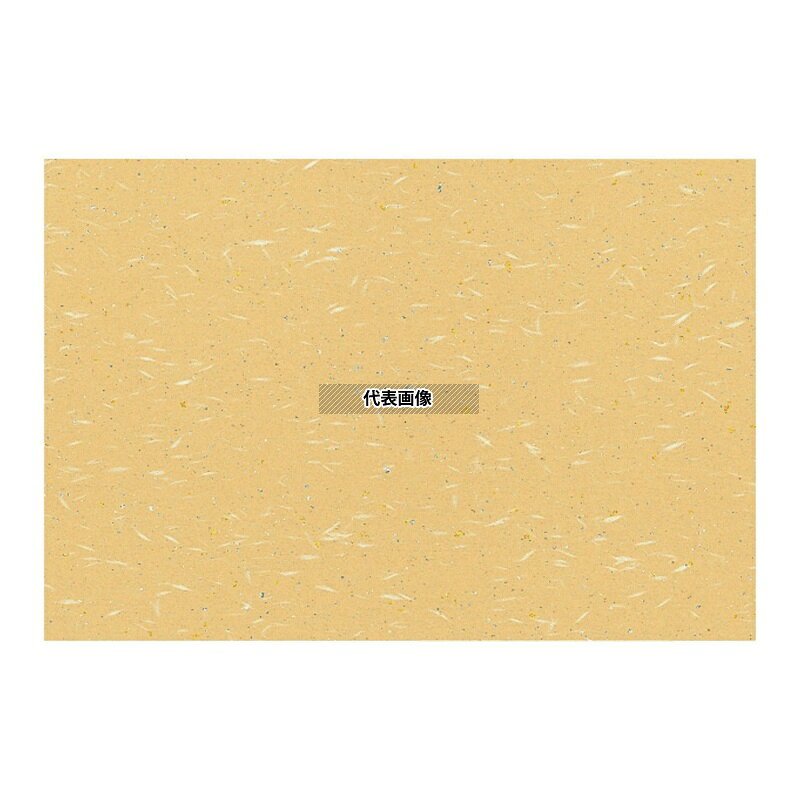 商品の特徴 アーテック 尺三マット 金銀霞ミ(100枚入) KT-4 オウド 264×390mm No.0561430 ●金銀と大礼雲流が漉き込まれた高級感あふれる色和紙です。 ●無地の色紙ですので、季節やお料理に合わせて自由にお選びいただ...