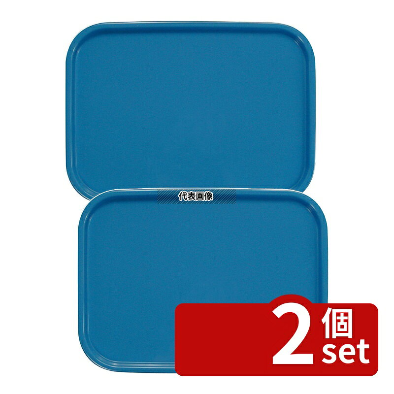 商品の特徴 カラーコレクショントレー L アクアブルー 製品仕様 ●商品ブランドシリーズ:橋本達之助工芸 ●品名情報分解1 物:トレイ ●品名情報分解2 色:アクアブルー ●品名情報分解3サイズ:L ●外寸:420×310×H18/ ●材質...