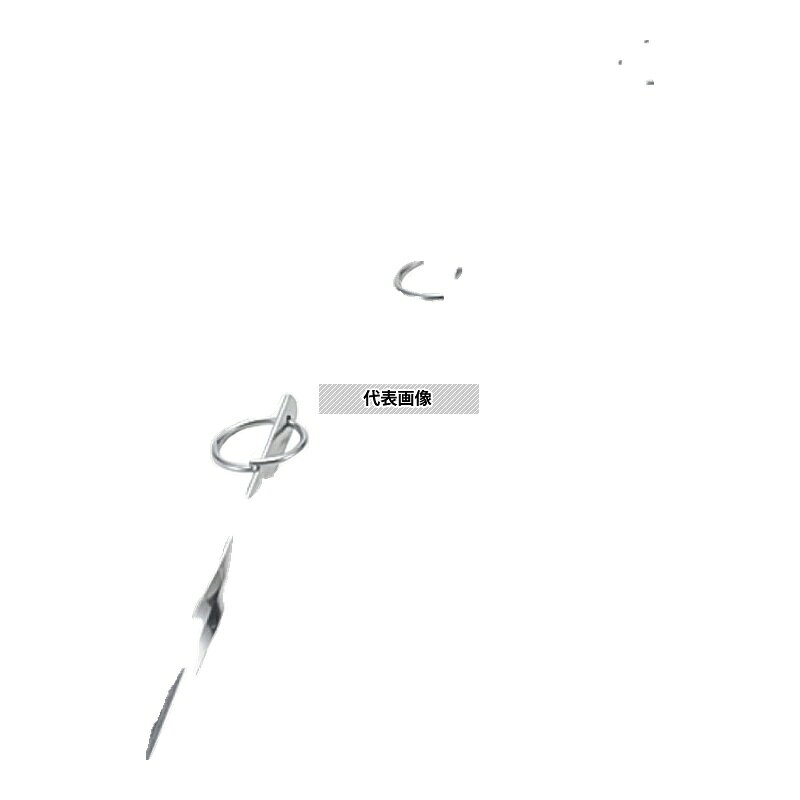 商品の特徴 18-8(ステンレス) プロセット TS-37 180mm 製品仕様 ●型番:TS-37 ●商品ブランドシリーズ:星三製作所 ●品名情報分解1 物:串 ●外寸:180/ ●材質:18-8(ステンレス)/ JANコード：49543...