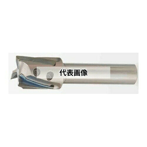 タンガロイ：EPH11R010M06.0-2 切削工具_転削用工具_転削用工具（その他） 製品仕様 ●ファミリー名：高精度壁面加工用 小径柄付きカッタ スリムシャンクタイプ (自動盤対応型) ●Max.ap[加工深さ]：10 ●L[全長]：...