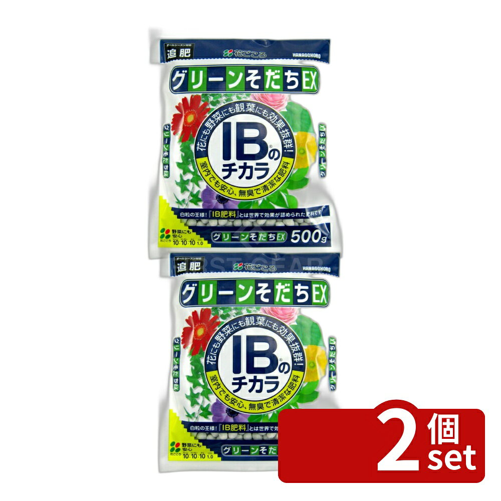 商品の特徴 花ごころ IBのチカラグリーンそだちEX 500g 肥料 ・室内でも安心して使える、無臭で清潔な肥料です。 ・ゆっくりと長く効く緩効性肥料です。 ・花付きを良くするリン酸成分などバランスのとれた肥料成分。 ・草花から野菜まで、ほ...