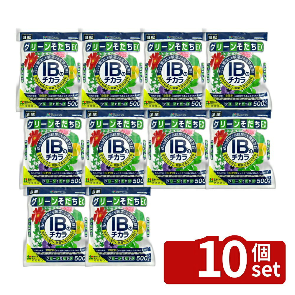 商品の特徴 花ごころ IBのチカラグリーンそだちEX 500g 肥料 ・室内でも安心して使える、無臭で清潔な肥料です。 ・ゆっくりと長く効く緩効性肥料です。 ・花付きを良くするリン酸成分などバランスのとれた肥料成分。 ・草花から野菜まで、ほ...