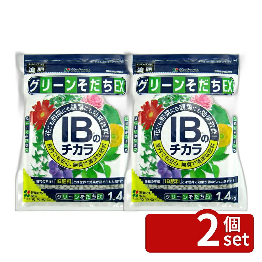 商品の特徴 花ごころ IBのチカラグリーンそだちEX 1.4kg 肥料 ・室内でも安心して使える、無臭で清潔な肥料です。 ・ゆっくりと長く効く緩効性肥料です。 ・花付きを良くするリン酸成分などバランスのとれた肥料成分。 ・草花から野菜まで、...