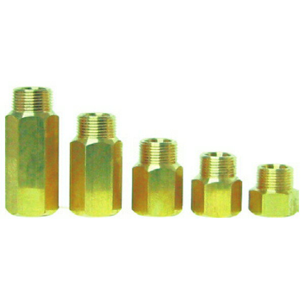 商品の特徴 岩崎製作所　52TUJ025-050B　【スプリンクラー用】 黄銅製　ティーアップアジェスター(固定式) ●スプリンクラーなどのかさ上げに必須のアイテムです 。 製品仕様 ●サイズ：1(25A)x50mm ●用途：スプリンクラー...