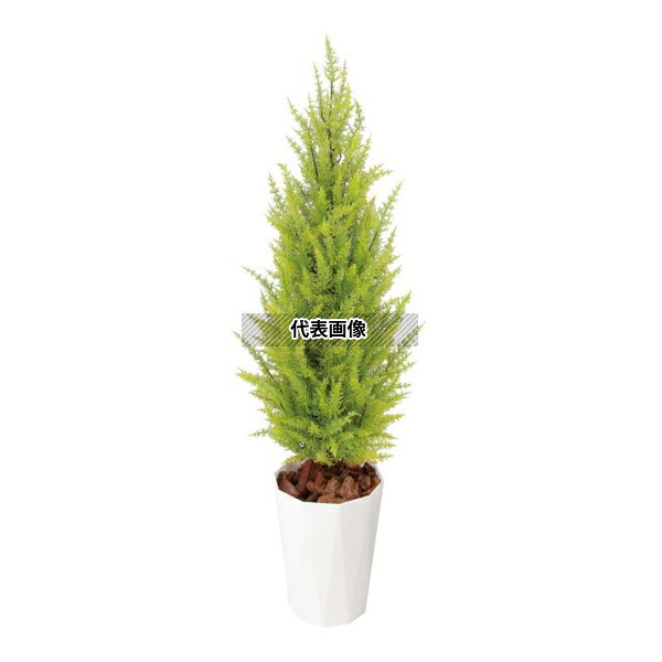 商品の特徴 タカショー GD-188 33489600 ゴールドクレスト ゴールド 1.2m 室内用 観葉植物 人工植物 トピアリー 人工植物(トピアリー) 製品仕様 ●高さ(m):1.2 JANコード：4975149334896 ※注意※...
