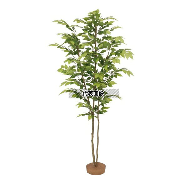 商品の特徴 タカショー GD-69 21486000 ケヤキ 鉢無 1.8m 人工植物 観葉 庭園 和風観葉植物：古来から愛される日本の美しい樹木を再現 製品仕様 ●鉢の有無:無 ●高さ(m):1.8 JANコード：497514921486...