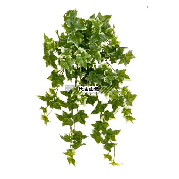 商品の特徴 タカショー GN-25W 21680200 オランダアイビー 室内用 観葉植物 人工植物 ハンギング 人工植物(ハンギング) ：空間にあわせてアレンジいろいろ 製品仕様 ●サイズ(cm):60 JANコード：4975149216...