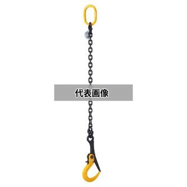 【ご注意：画像は代表画像です。カラーやサイズは商品名を必ずご確認下さい。】用途●敷鉄板の敷設・撤去作業商品説明スーパーロックフック(SLH3A)とチェーンスリング(CSC31)のセット品です。取り外す時はレバー操作で完全に開放ロックがかかり...