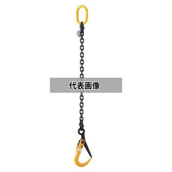 【ご注意：画像は代表画像です。カラーやサイズは商品名を必ずご確認下さい。】用途●敷鉄板の敷設・撤去作業商品説明スーパーロックフック(SLH3N)とチェーンスリング(CSC31)のセット品です。商品スペック容量(ton)：3全長(mm)：13...