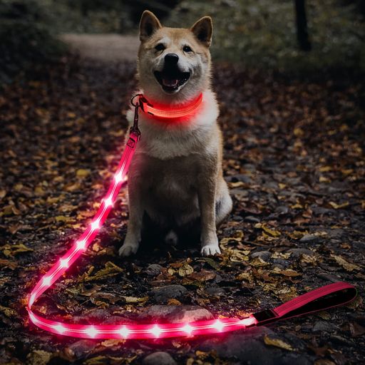 🐾LEDセーフティードッグリード-高い安全性と視認性:IllumifunのLEDドッグリードは、明るくて視認性に優れています。これにより、愛犬の安全性が大幅に向上します。ナイロン素材を使用し、高視認性のLEDストリップが付い...