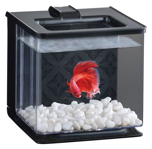 インドア 原産国:マレーシア 本体サイズ (幅X奥行X高さ) :16x17x16.3cm 本体重量:400g 素材: プラスチック