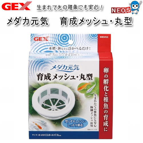 『特長』 容器に浮かべて産卵と繁殖を楽しめるしっかりメッシュの育成ケース。 通水性が高く丈夫なメッシュなので汚れてもお掃除しやすく清潔に使えます。 『サイズ』 約幅13×奥行13×高さ6.7cm