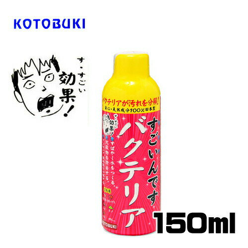 【コトブキ すごいんですバクテリア 150ml】 KOTOBUKI 安心・天然成分100％ 日本製 ●素早く水をつくる 　有害なアンモニアや亜硝酸を分解、除去し、素早く水質を安定させます。 ●沈殿物を除去する 　残餌、排泄物、枯草などを分解...