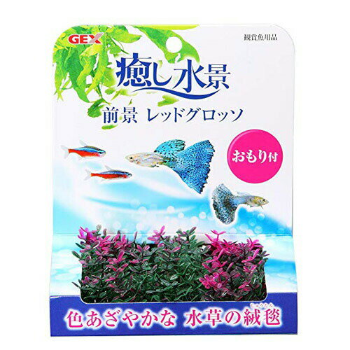 小さな水槽や前景を飾る前景用水草です。 底部分を砂に埋めて使えば、よりリアルに楽しめます。 ■商品サイズ■ 幅120×奥行90×高さ137mm [accessories]