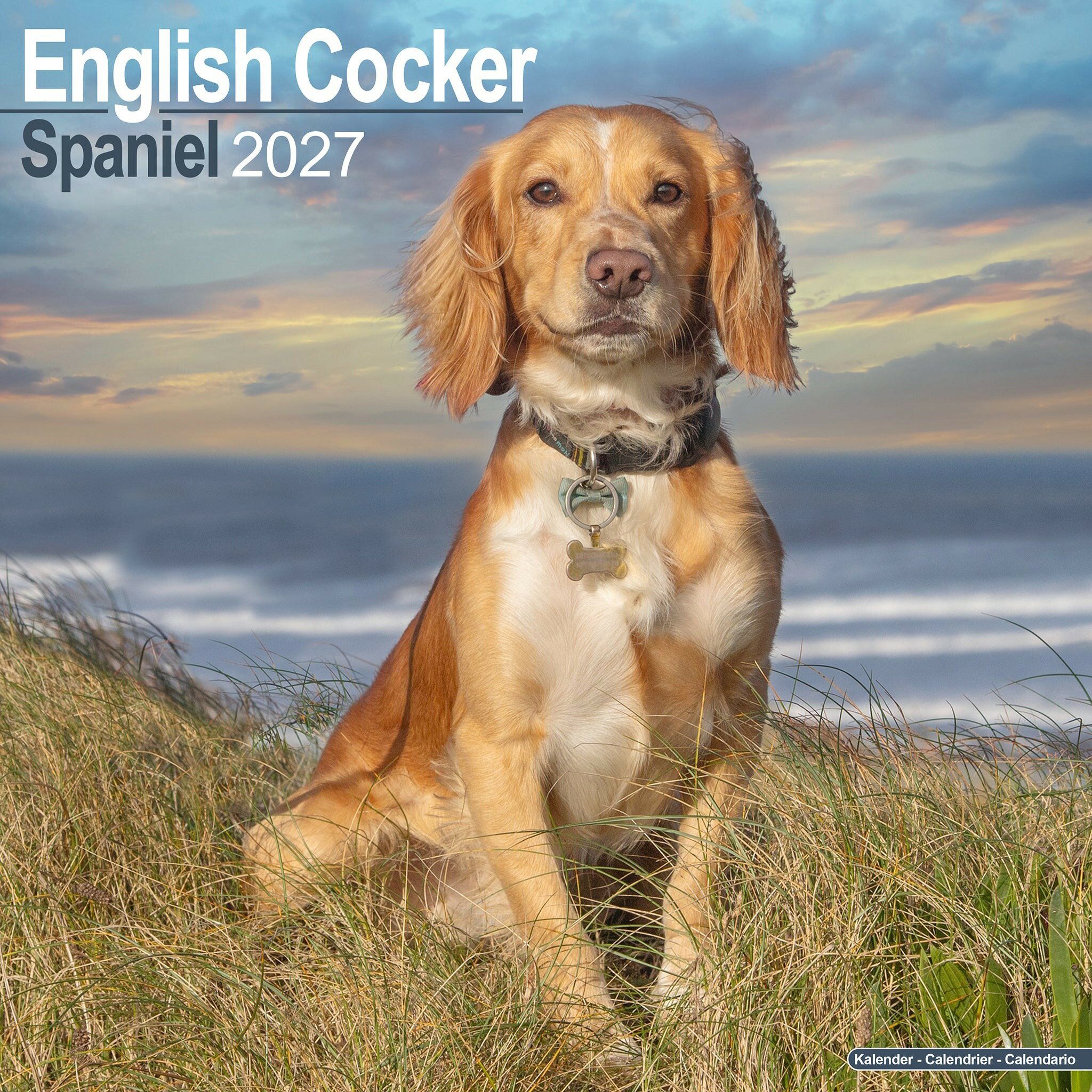 特徴2026年9月から使える16ヶ月カレンダー。お気に入りの犬種の美しい写真が13枚掲載されています。祝日、注目イベント、重要な日付がすべて記載されています。（海外の祝日や行事が英語で表記されています）サイズ閉じた状態：295mmx295m...