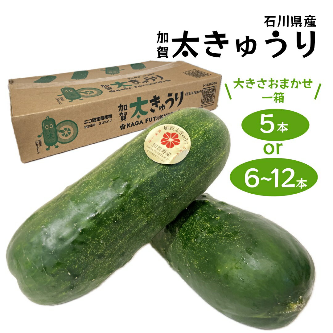 商品情報名称きゅうり産地名国内産(石川県産)内容量1箱 5本保存方法冷蔵庫で保存備考遺伝子組換えではありません石川県産 加賀太きゅうり 1箱 5本または6~12本 大きさおまかせ かがふときゅうり 国産 夏野菜 加賀野菜 家庭用 お中元 加...