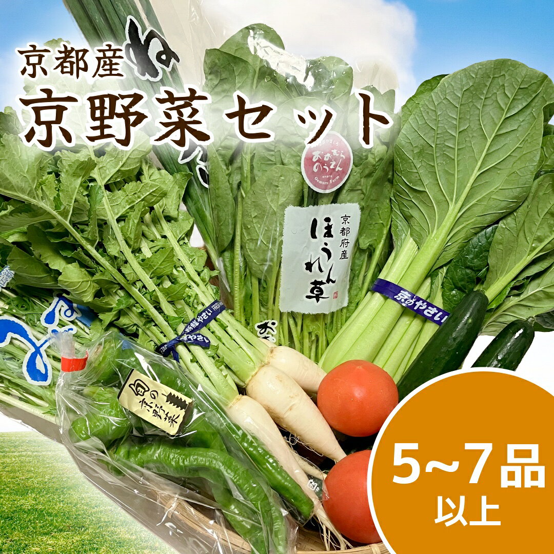商品情報名称京野菜セット産地名国内産(京都府産)内容量1箱保存方法冷蔵庫で保存備考遺伝子組換えではありません京野菜 詰め合わせ 京都 旬の野菜セット ギフト おまかせ 1箱5品～7品入り 贈り物 贈答用 贈答品 お中元 箱を開ける瞬間が楽し...