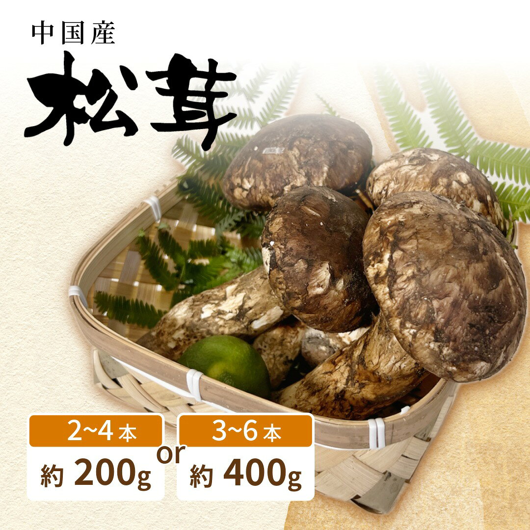 商品情報名称松茸産地名中国産内容量約200g保存方法冷蔵庫で保存備考遺伝子組換えではありません松茸 マツタケ まつたけ 中国産 1箱約200g入 2~4本 大きさサイズ形おまかせ お中元 近年品質が上がっていく中国産の松茸！中国産松茸 松茸...