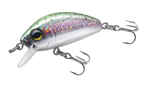 主な対応魚種:トラウト ブラックバス カマス メッキ アジ サバ タイプ:シンキング 重量:3.5g / サイズ:33mm カラー:ニジマス M99 フックサイズ:12