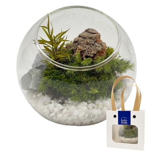 癒し W8xD8xH7cm 『手のひらの小さな森を、暮らしの中に。』本物の苔を丁寧に加工した、水やり不要のプリザーブド苔インテリア。自然の静けさを、小さなガラスドームに閉じ込めました。 枯れない観葉植物、水やり不要で手間いらず置くだけで楽し...
