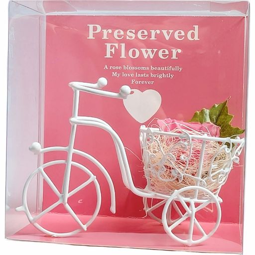 W9xD7xH10cm 白いワイヤーでできた可愛らしい三輪車のオブジェ ずっと枯れない、愛のシンボル