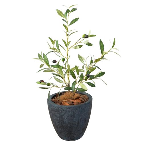 屋内専用 光触媒加工で消臭抗菌効果 好みの角度に調整できるワイヤー内蔵タイプ 専用のオリジナル鉢が付属ですぐに設置可能 本体(ポリエチレン)・鉢(マグネシア)・バークチップ・ココヤシファイバーが付属 約23x40x65cm