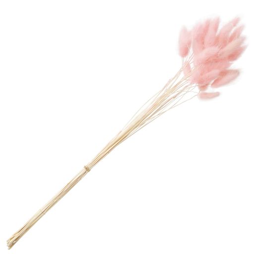 ガーデンパレットモノは、2018年10月に開始したブランドです。モノ・インターナショナルが長年培ってきた経験を基に世界から選りすぐった、より良い商品をご紹介しています。品質が良く、値段が手ごろで導入していただきやすい商品です。 ※天然素材の...