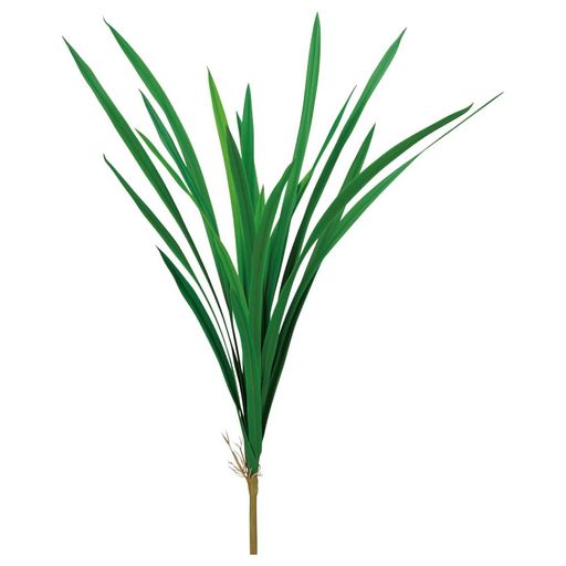 本体サイズ:全長:約57cm、幅:約60cm 本体重量:約20g 素材・材質:ポリエチレン 原産国:中国