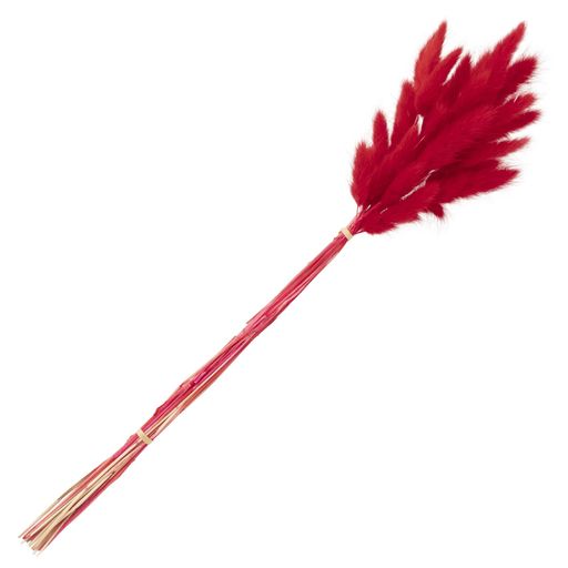 ガーデンパレットモノは、2018年10月に開始したブランドです。モノ・インターナショナルが長年培ってきた経験を基に世界から選りすぐった、より良い商品をご紹介しています。品質が良く、値段が手ごろで導入していただきやすい商品です。 ※天然素材の...