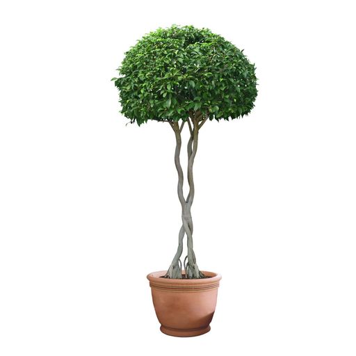 ■壁ウォールステッカー内容:受け取った製品のサイズは次のとおりです:30cm*60cm*1PCS、ウォールステッカーをDIYできます、ステッカーのサイズはスペースに基づいています ■ウォールシール高品質の素材:ウォールステッカーは高品質のP...