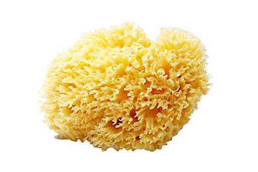 サイズ:Lサイズ 原産国:イタリア 内容量:1個