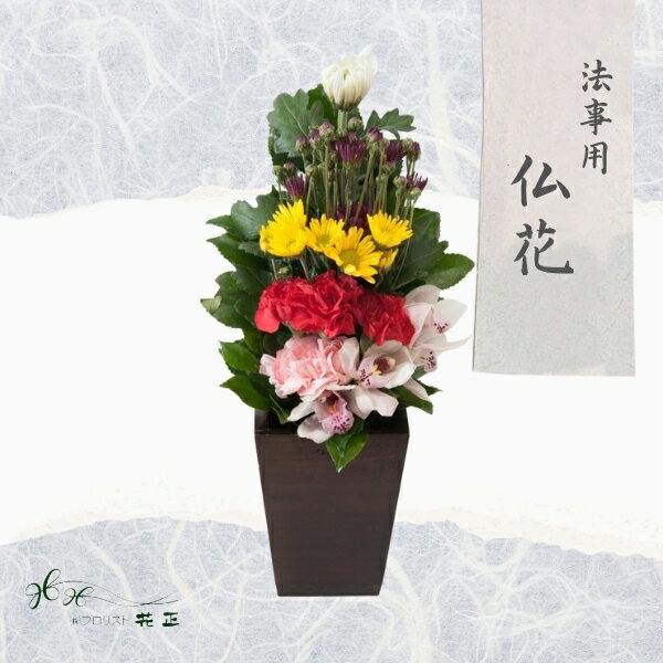 商品情報使用花材菊中心のおまかせ（ラン入り）　下草（一部花材が異なる場合がございます。イメージとしてご覧ください。）サイズ【目安のサイズ】1つあたり　高さ(花)25×幅15cm　足元10cm注意点モニターの発色具合により、実物と色が異なる場...